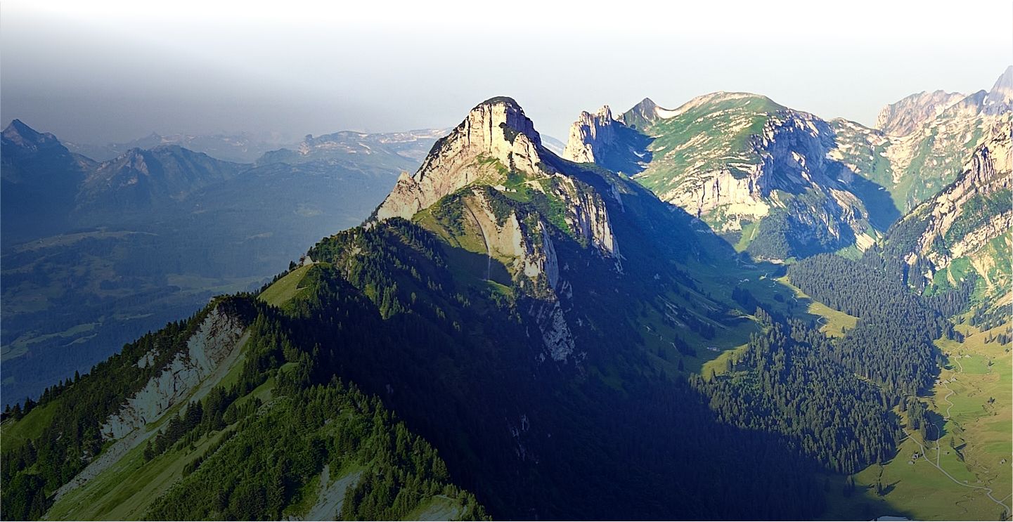 Apply Now - Swiss International Business School (SWIB)